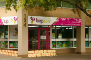 Our History - Theatre Bugs